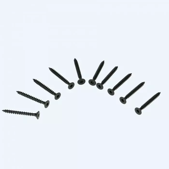 Zwarte schroef scharnieren RVS, Torx 4,5x40mm | Ecotools.be